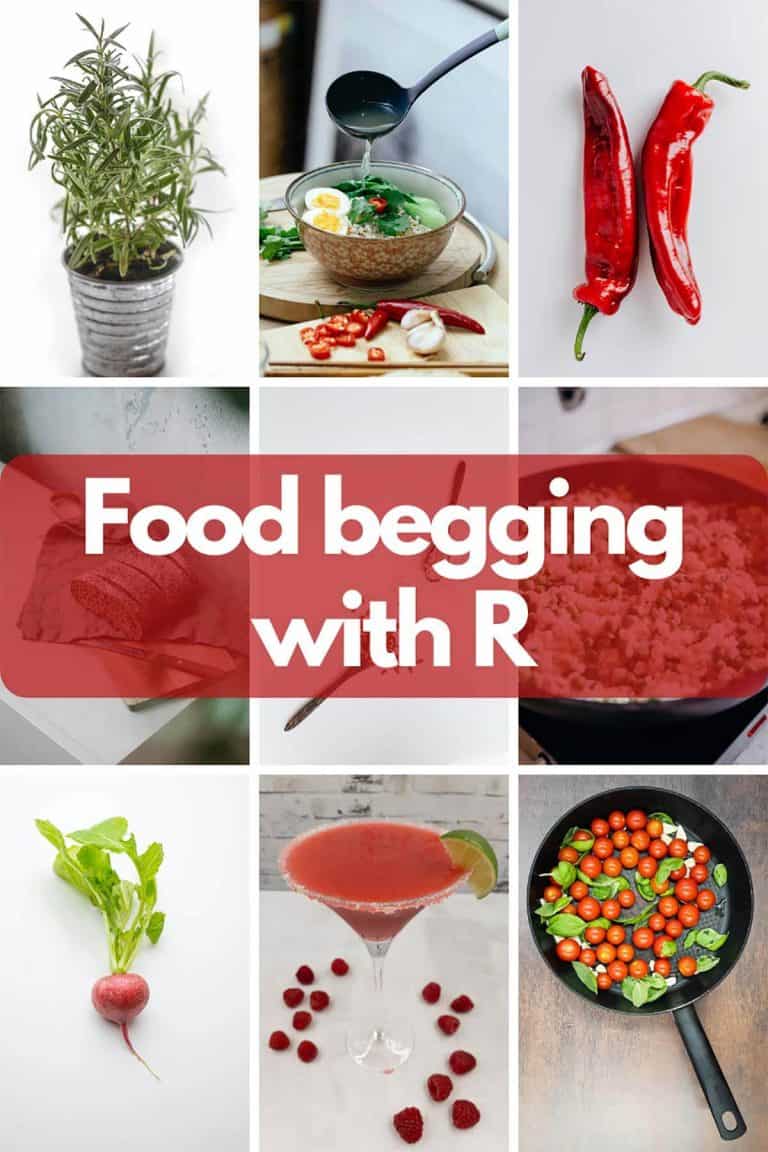 36 Foods that Start with R - Splash of Taste - Vegetarian Recipes