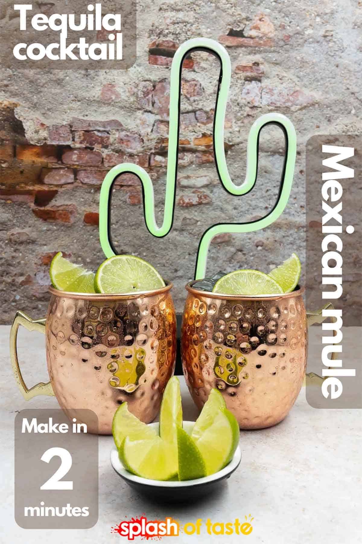 Mexican mule - Splash of Taste