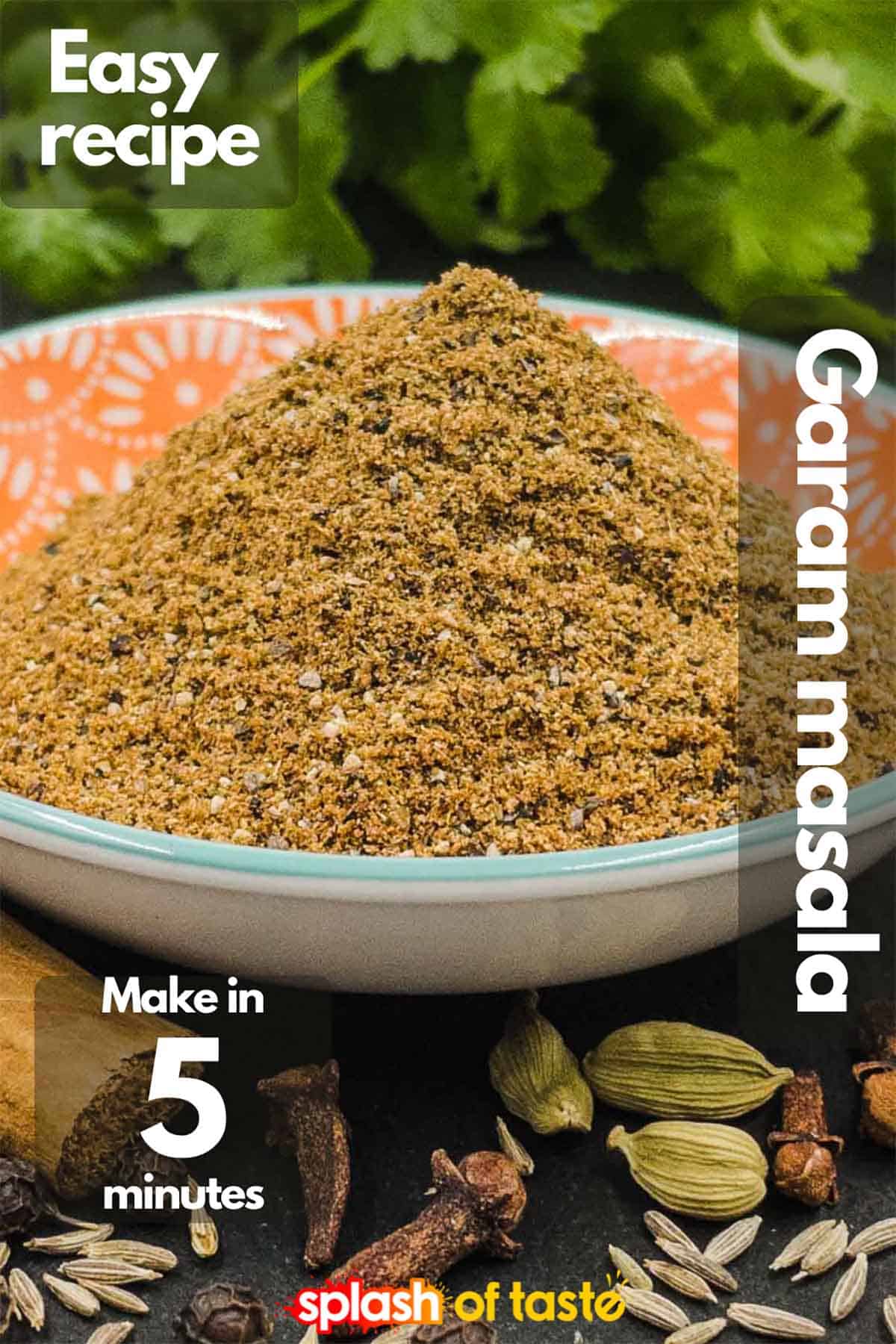 Garam Masala Recipe - Splash of Taste