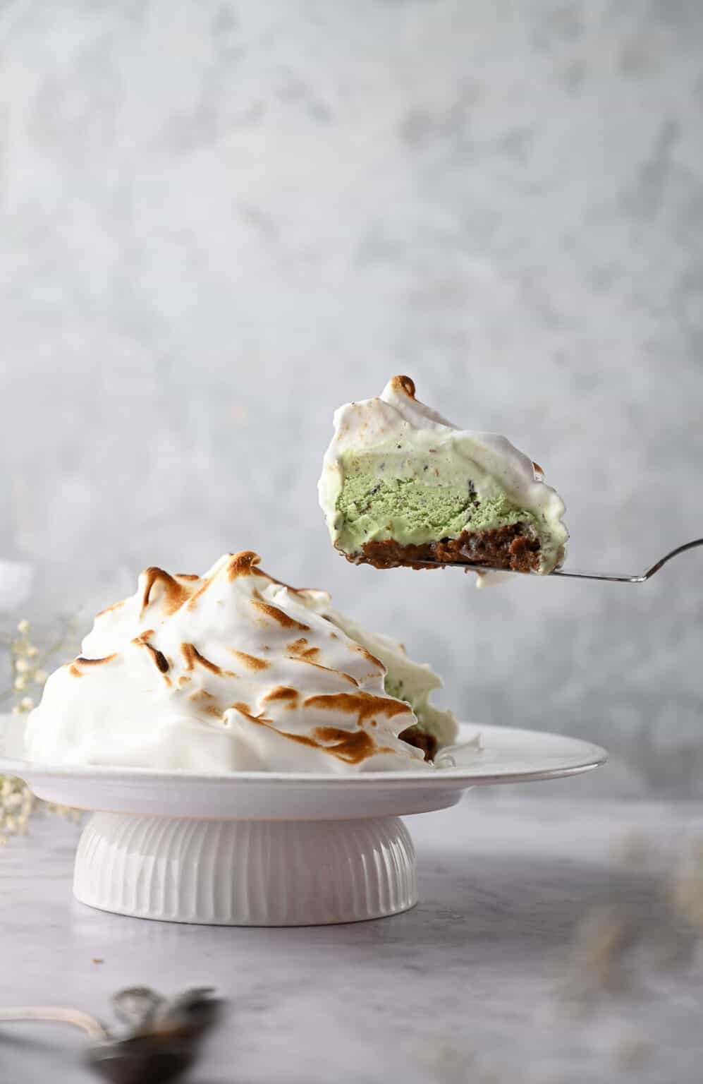 Best Baked Alaska - Easy Recipe