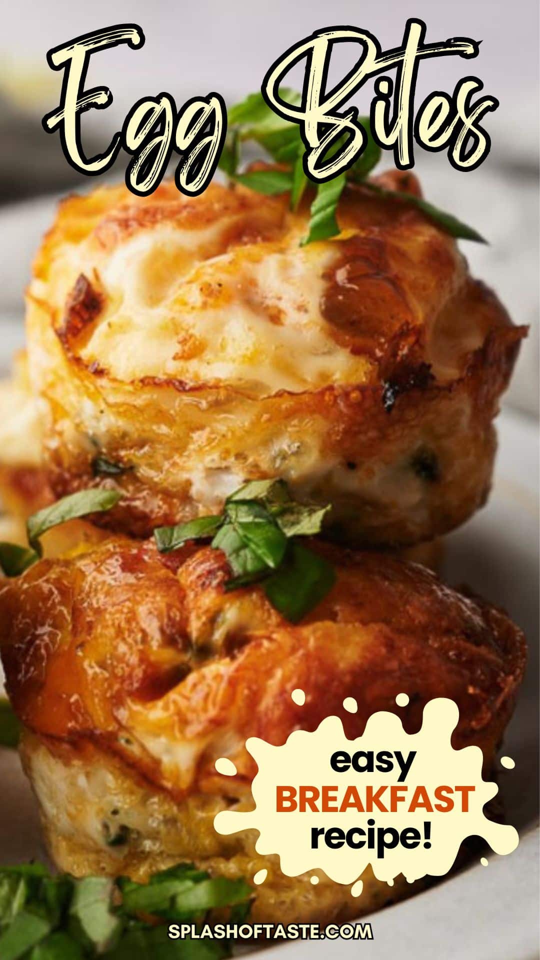 Easy Cheesy Egg Bites Recipe - Splash of Taste