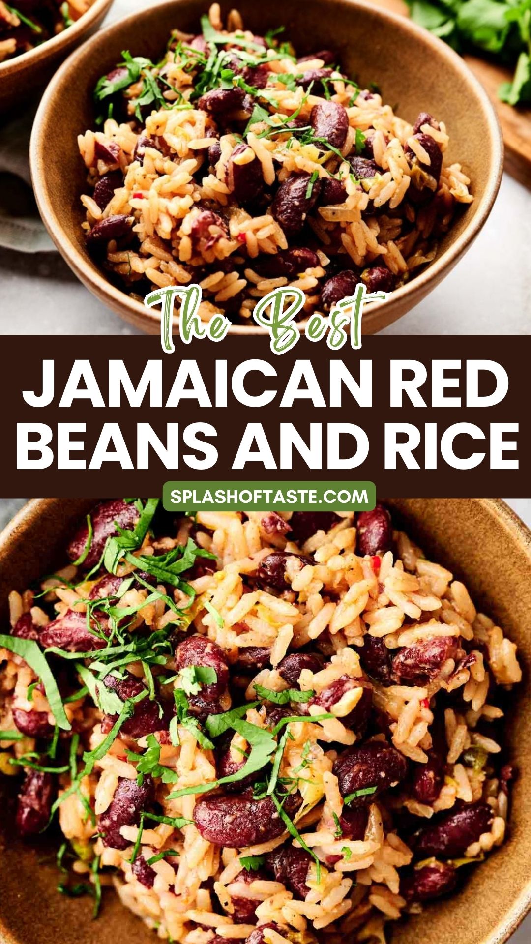 Authentic Jamaican Red Beans and Rice Recipe (Quick & Easy)